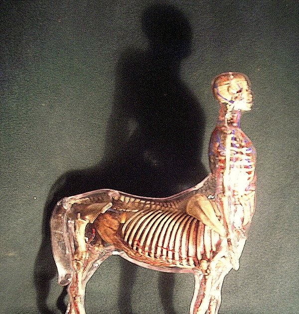 From The Crows Nest: Visible Centaur