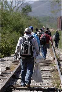 bienvenidos compañeros del cet-mar: migracion