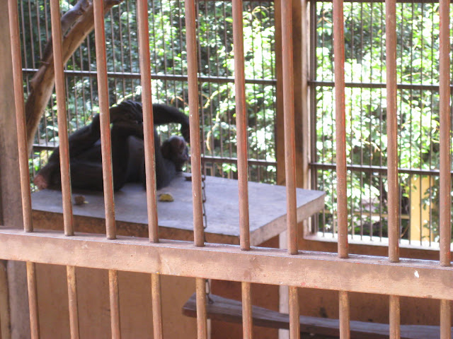 Mark in Mali: Walk in the new National Park of Mali and the old Bamako Zoo