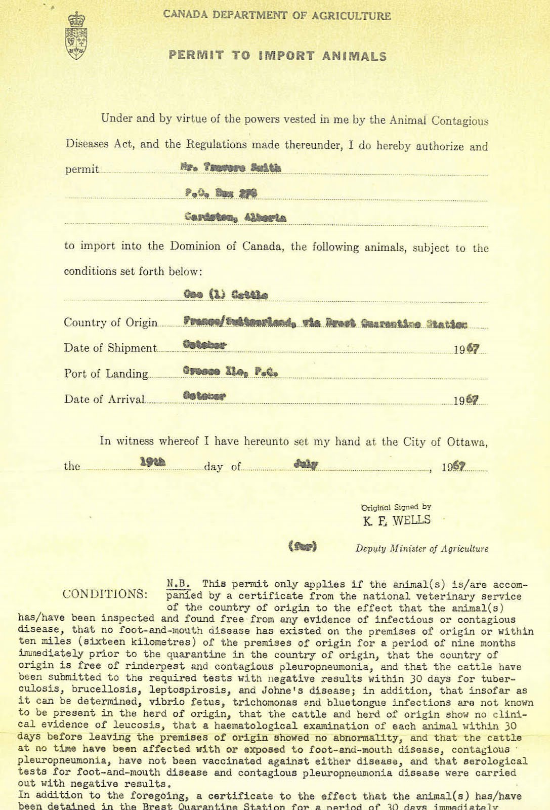 Early Years of Simmental in North America: Import Permits ~ 1967