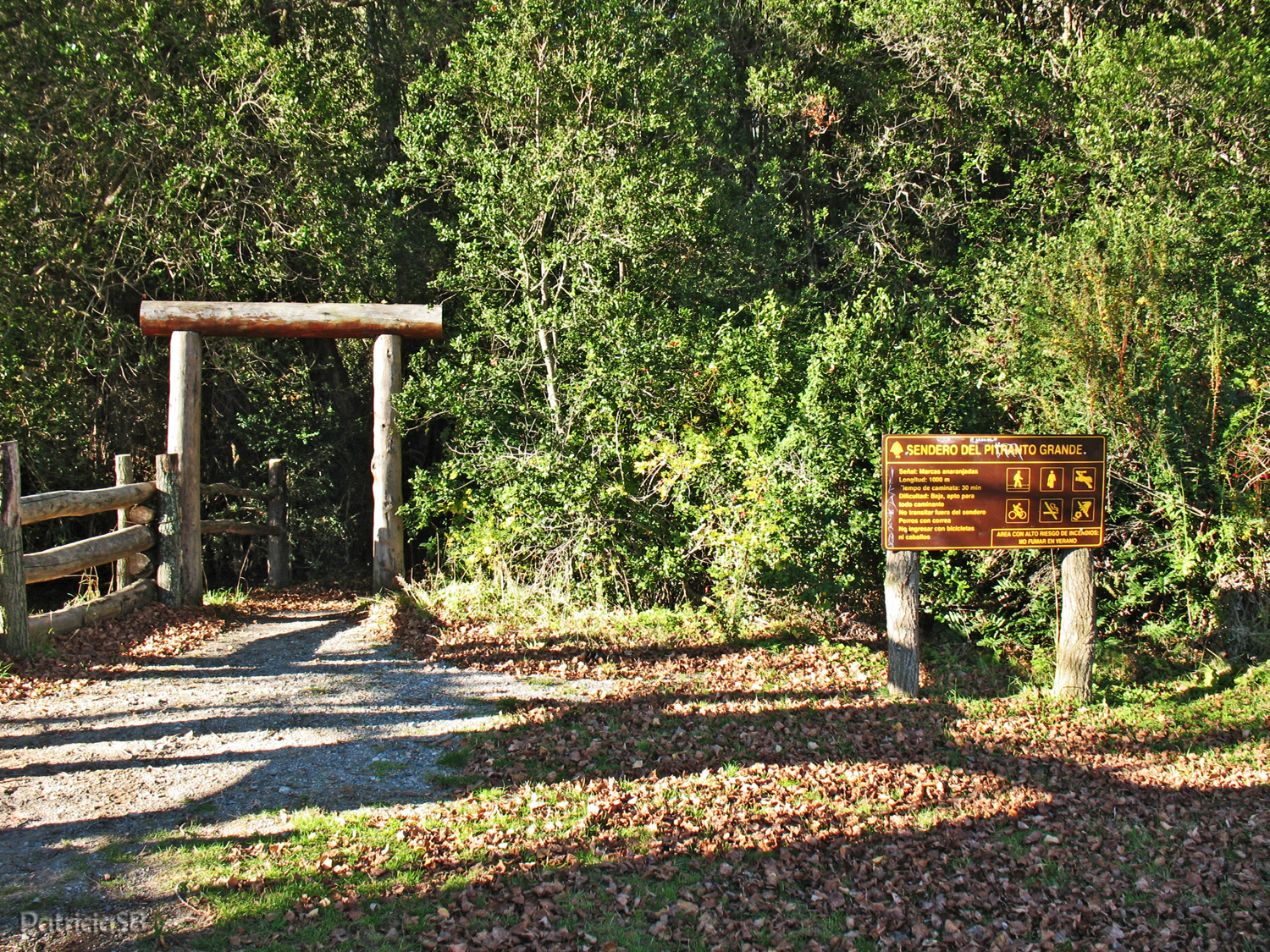 Patagonia - My Place in the World: Pitranto Grande (Big Pitranto)