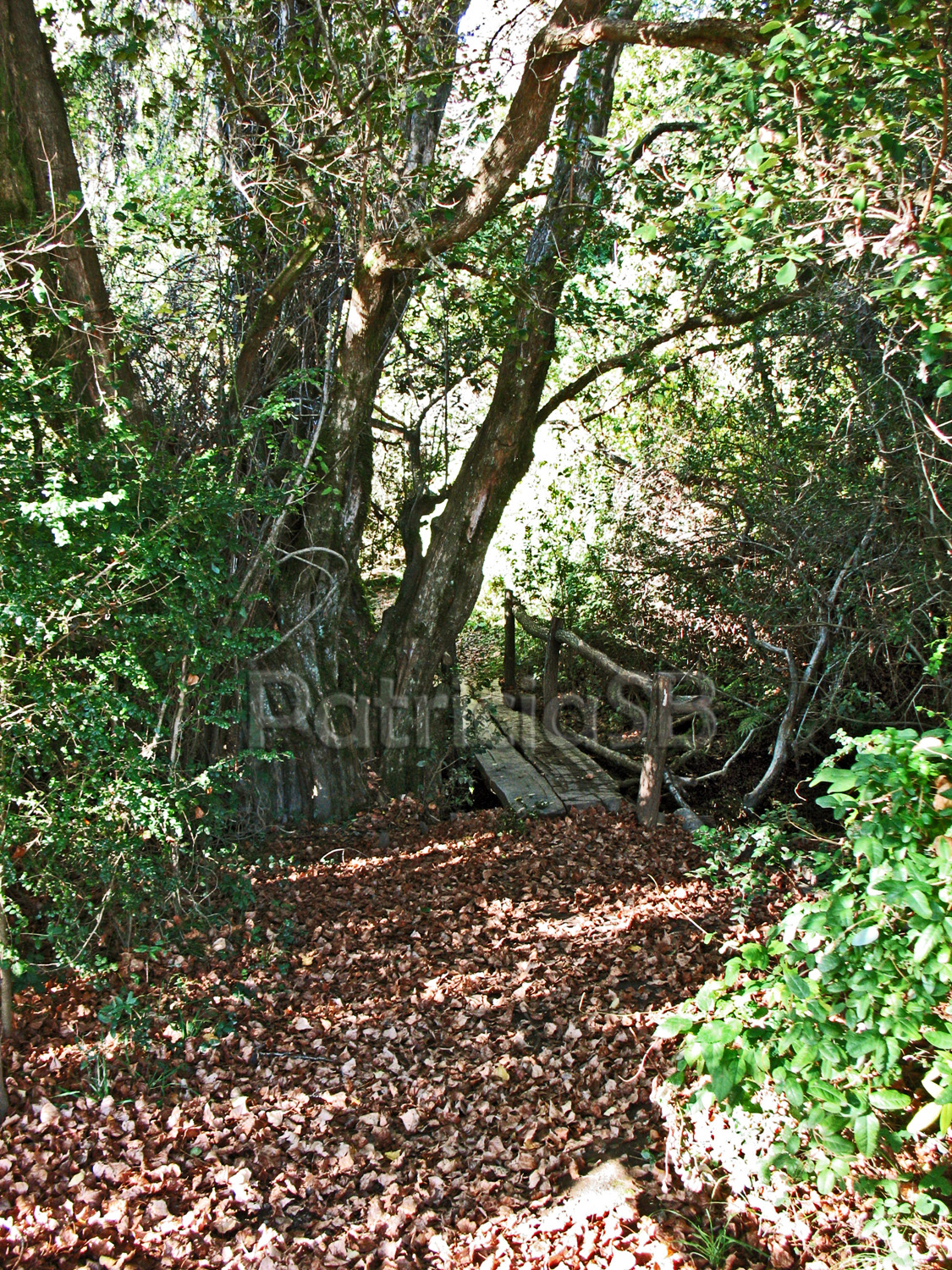 Patagonia - My Place in the World: Pitranto Grande (Big Pitranto)