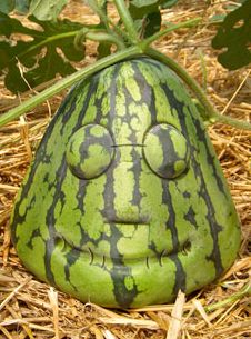 Mutated Fruits & Veggies | Noelizm