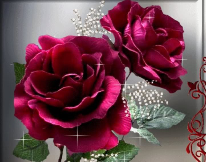 Flores hermosas de amor - Imagui