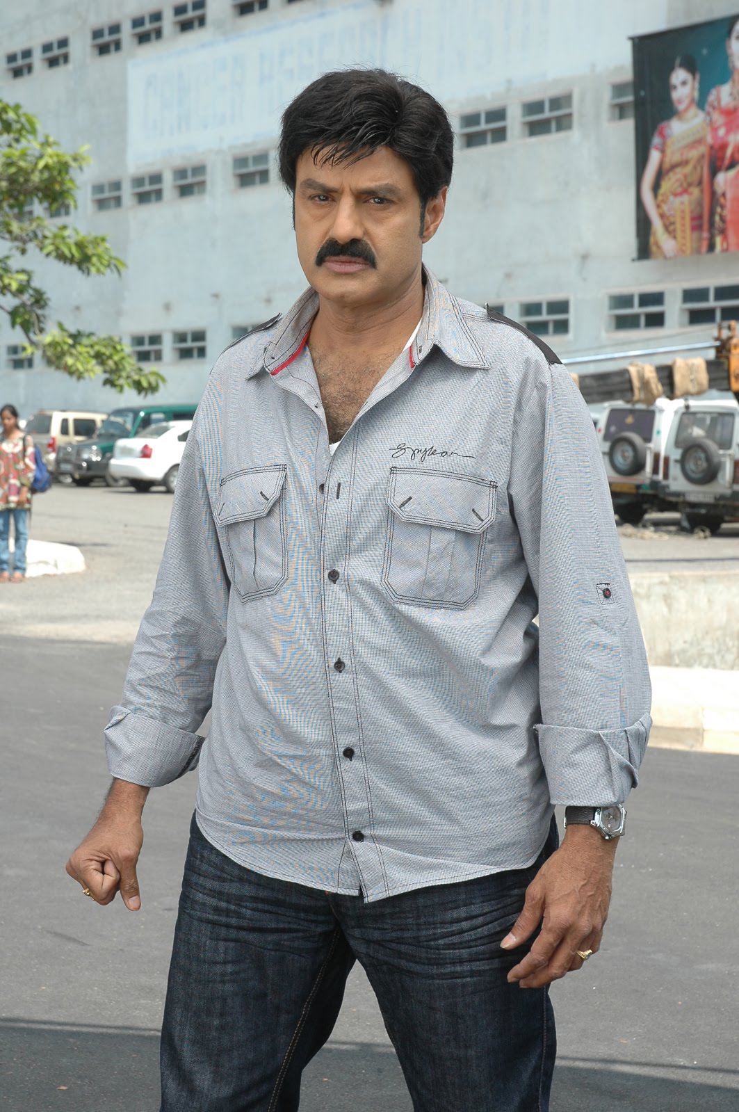 BalaKrishna' Simha Movie Latest Stills Gallery