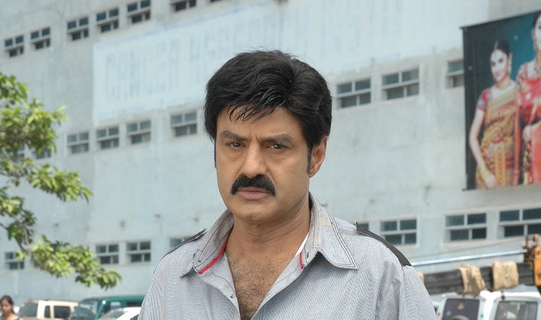 BalaKrishna' Simha Movie Latest Stills Gallery