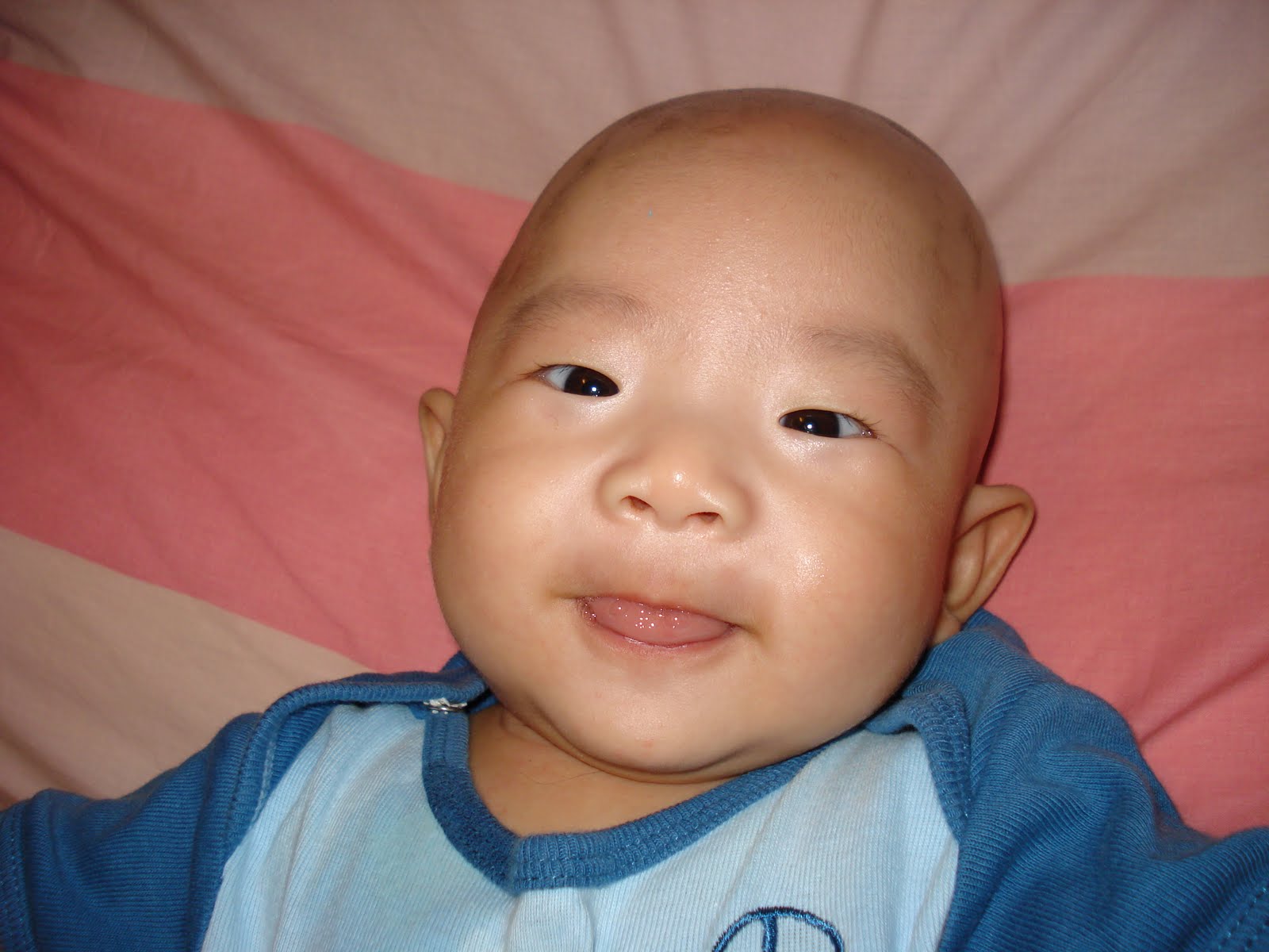 Thomas Chee's Blog: Jenson went bald at 4 month old