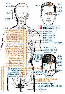 Patch for Health: Meridian Pathway - Graphic Guide