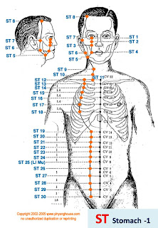 Patch for Health: Meridian Pathway - Graphic Guide