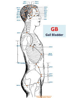 Patch for Health: Meridian Pathway - Graphic Guide