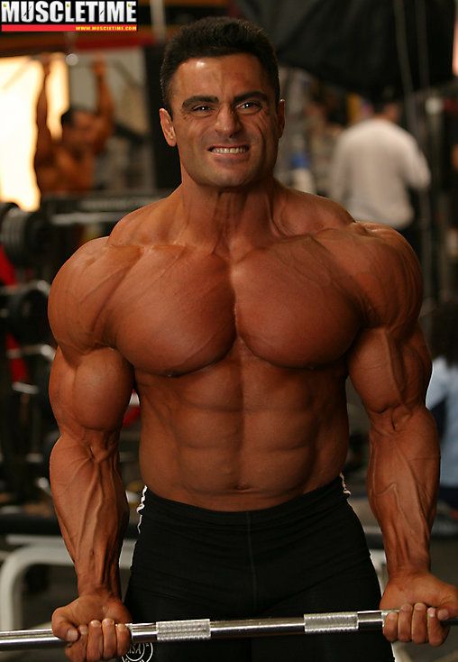 Maxmuscles Plus: Haider