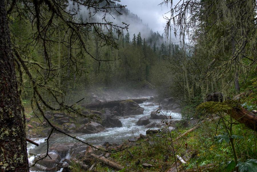 versuri sub flori de tei: Mihai Eminescu