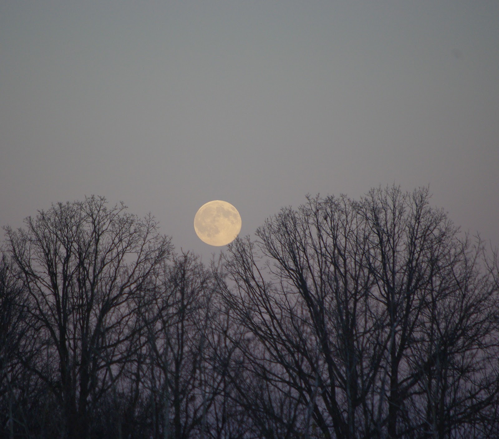 Life in Rice Lake, WI: Moon Me