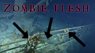 Hunter S. Zombie: Zombies Sunk the Titanic