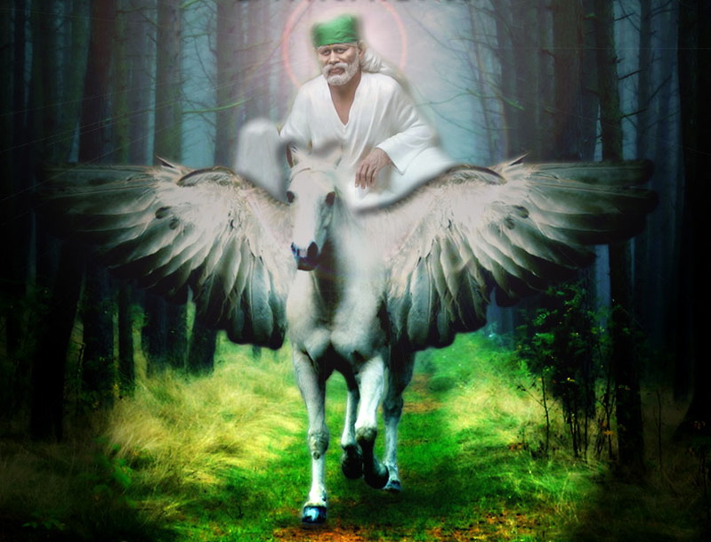 Sai Wallpaper: Sai Sitting on a Horse