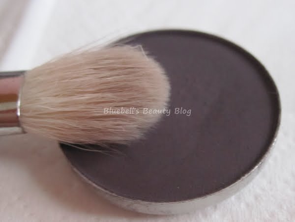 Diagram Of Collapsed Uterus