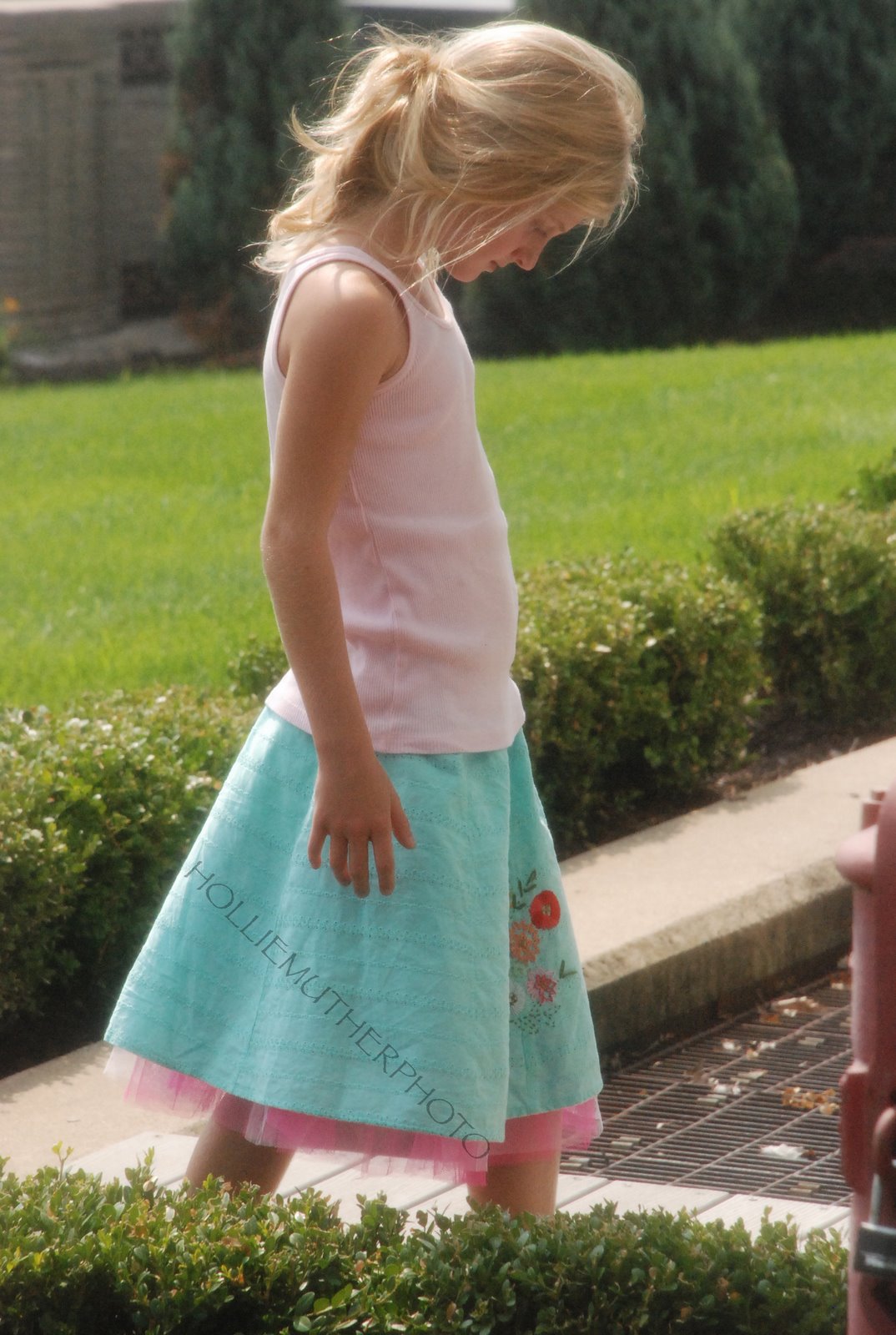 DSC_0351.jpgnew (image)