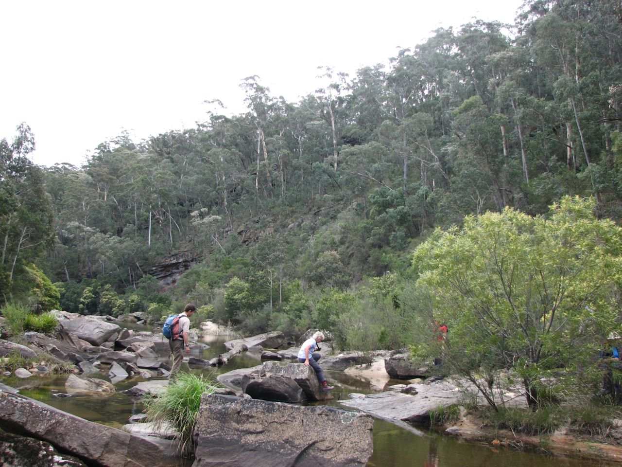 Bega Valley Bushwalkers 2010 blog