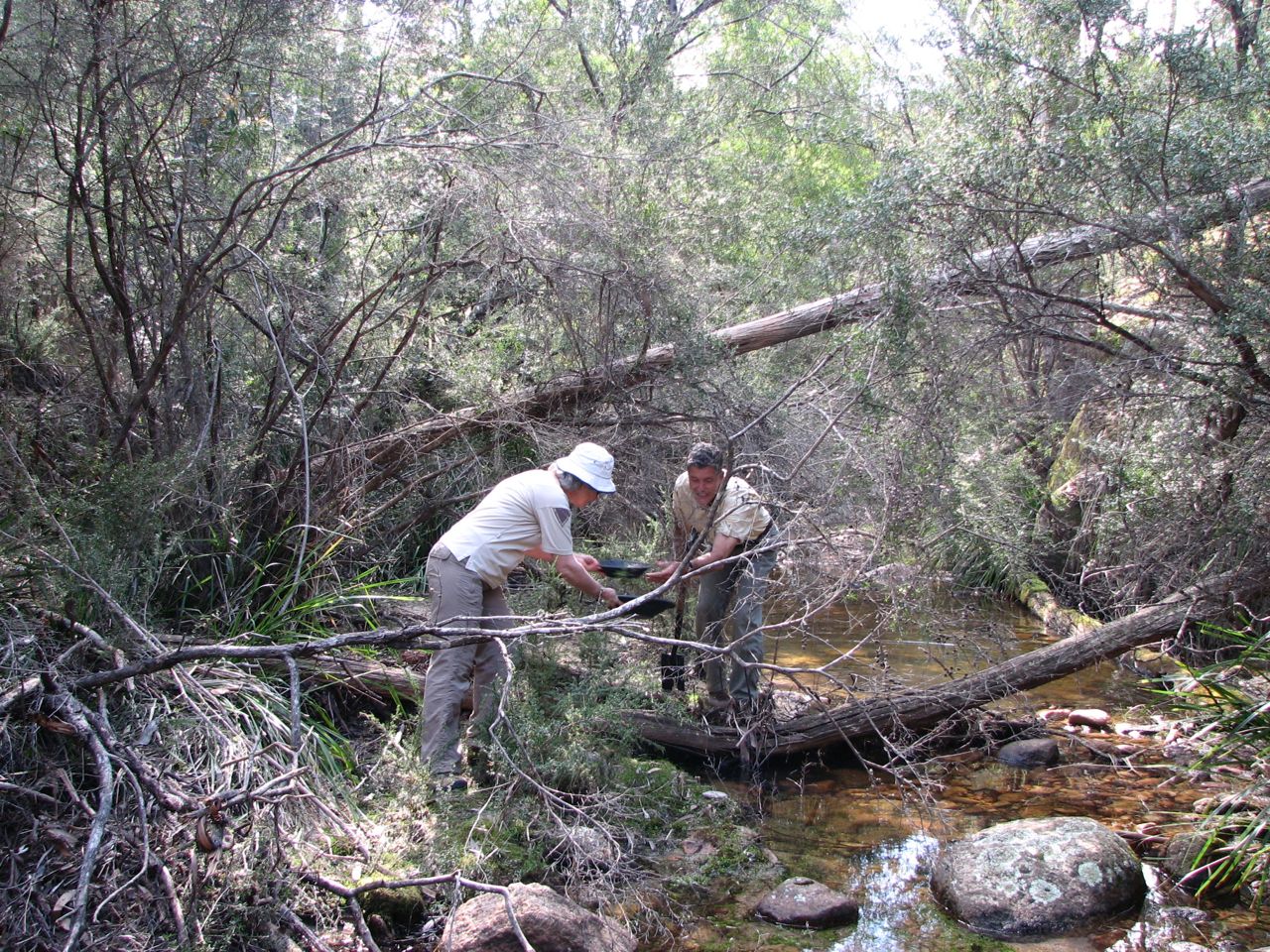 Bega Valley Bushwalkers 2010 blog