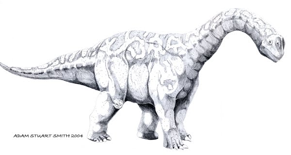 halloo broooo: camarasaurus1