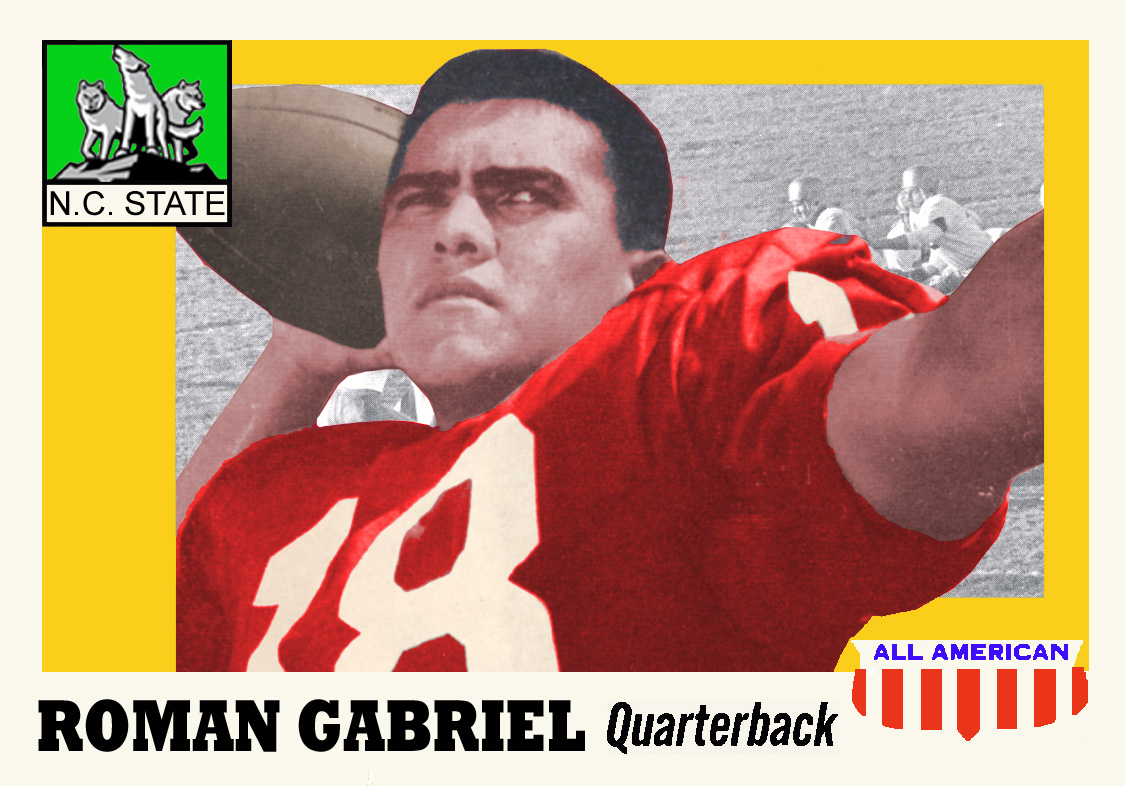 Bob Lemke's Blog: Roman Gabriel added to my '55-style set