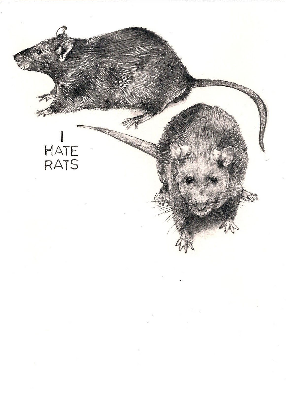 `: I HATE RATS!!!
