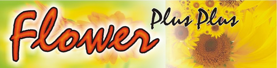 Flower Plus Plus: Page 45