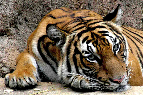 itS aLL aBoUt JouRNey