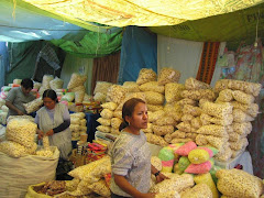 los pululos!!!!!!!!!!!!!!!!!!!!!: BIENVENIDOS AMIGOS PULULOS