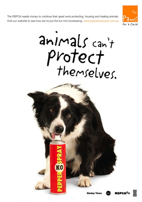 Design-Deliberation: PAWS FOR A CAUSE