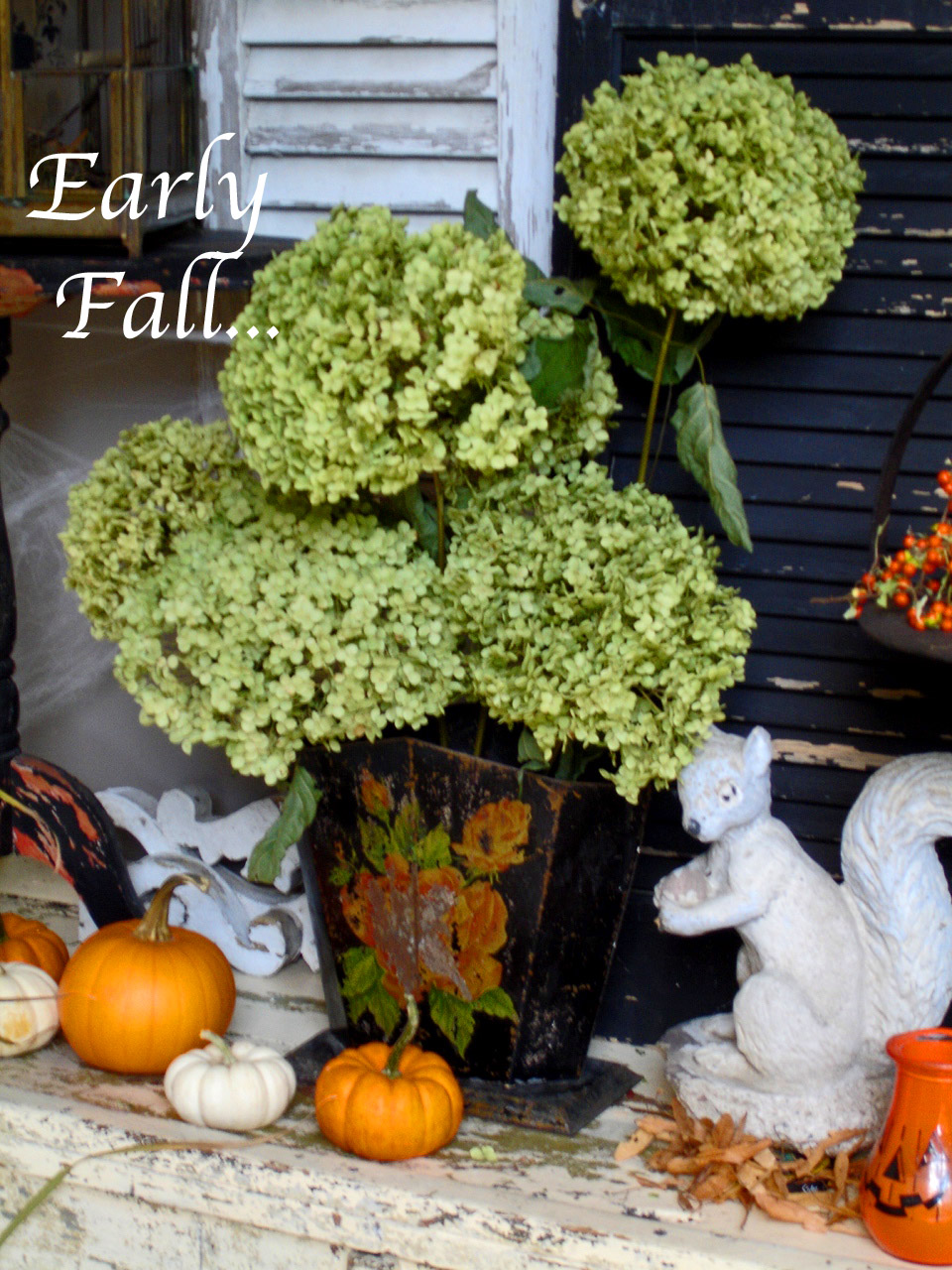 ChiPPy! - SHaBBy!: **EaRLy FaLL Hydrangeas** ~ In SHaBBy Containers...
