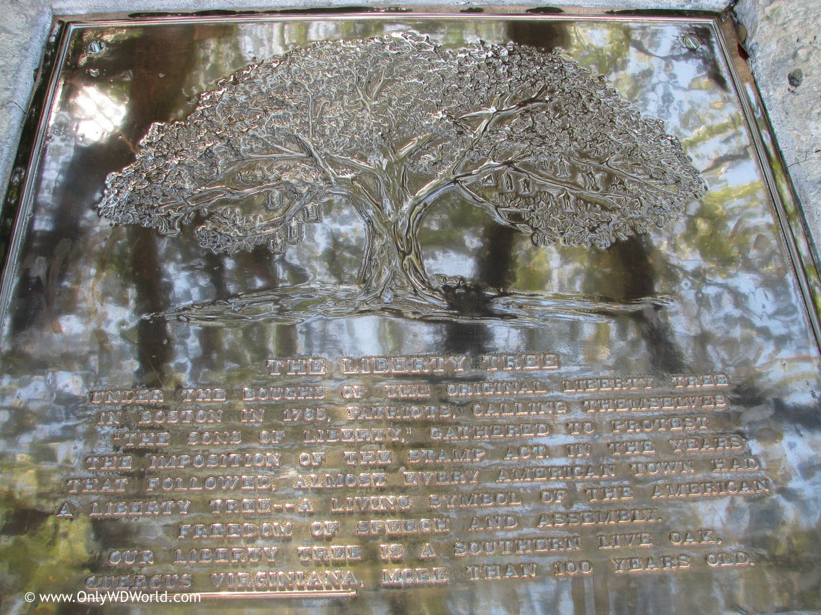 The Liberty Tree - A Magic Kingdom Landmark Since Opening Day | Disney ...