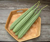 Nihari's CookBook: Ridged Gourd (Watakolu) Curry