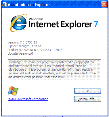 Internet Explorer Version 7.0.5730.13