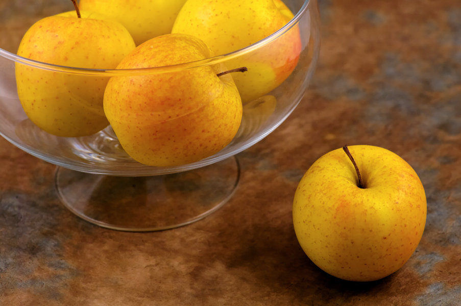 photo quest: Ginger Gold