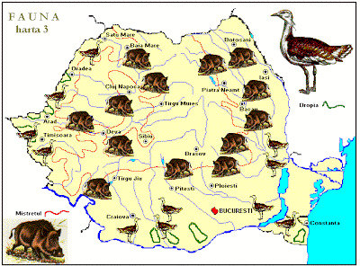 Feroviarii: Harta faunei din Romania