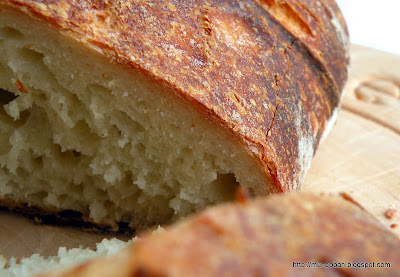 * Mungo Says Bah * Bushcraft Blog: Home Made Bread - My First ...