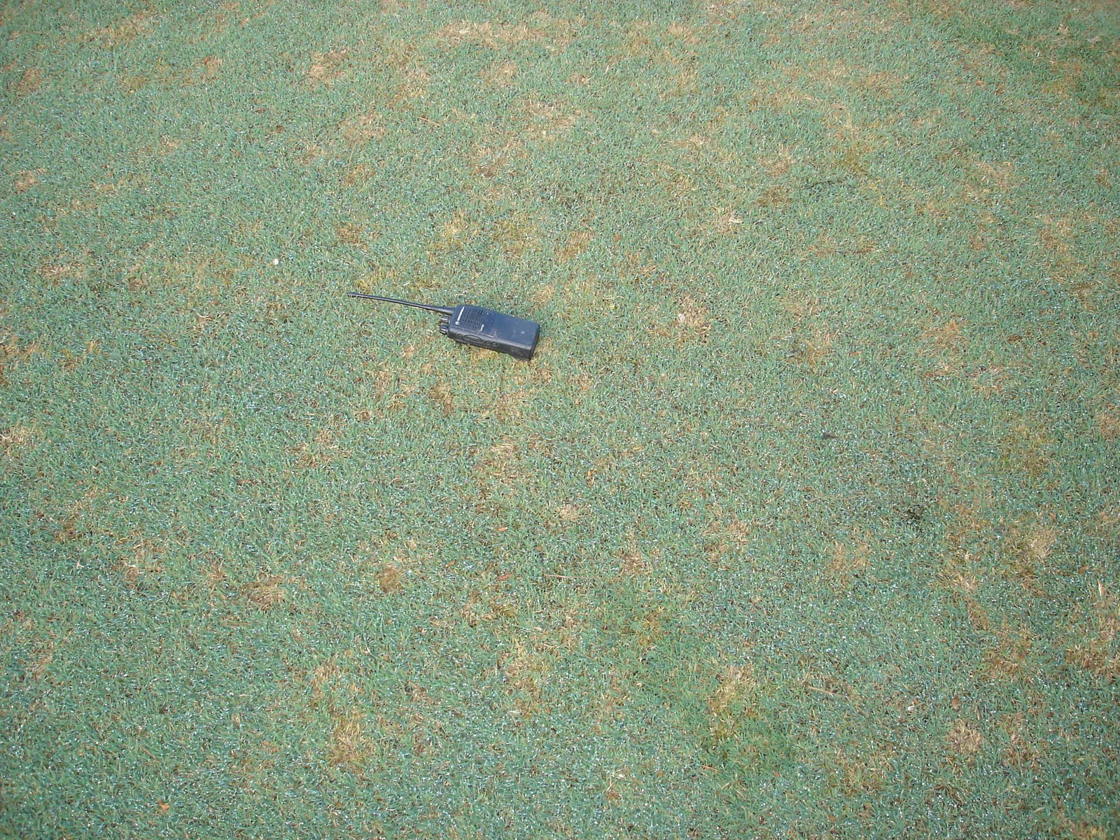 Stockton Golf & CC Turf Page: Bring on the heat, the bermuda is ready