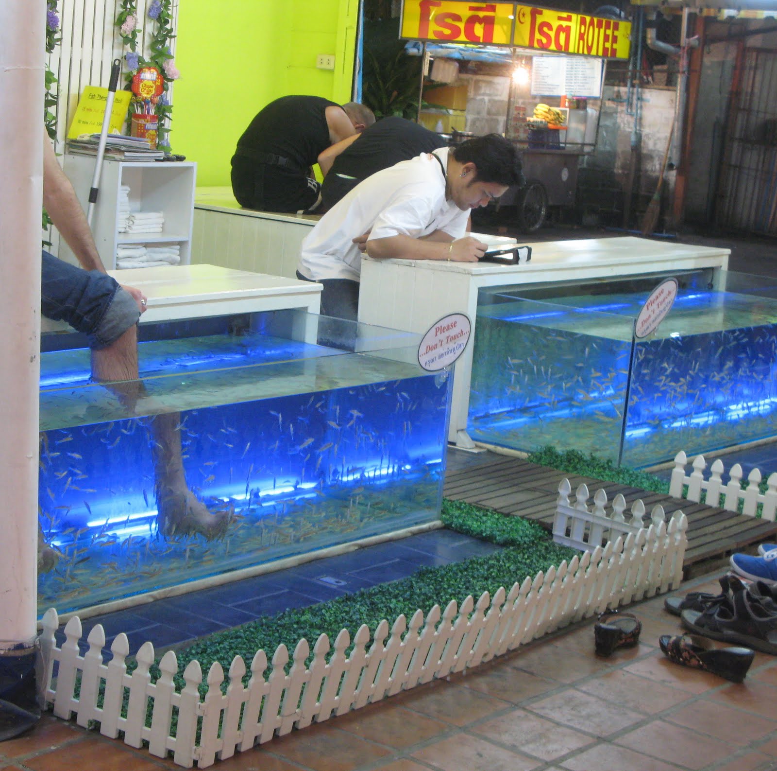 * Herman and Alan's Travelogue: Chiang Mai massage