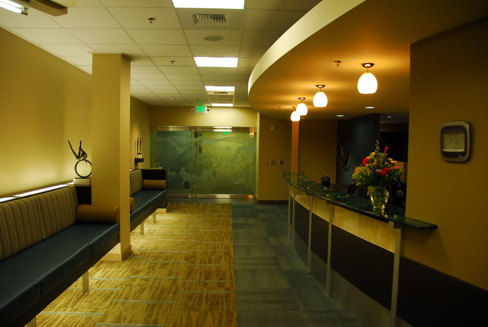 Reflections: Olympic Physical Therapy Entry