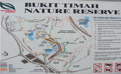 Geograpy Travel Project: Bukit Timah Nature Reserve