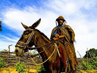 São Vicente News: Museu Temático Sobre o Vaqueiro Nordestino Está Sendo ...
