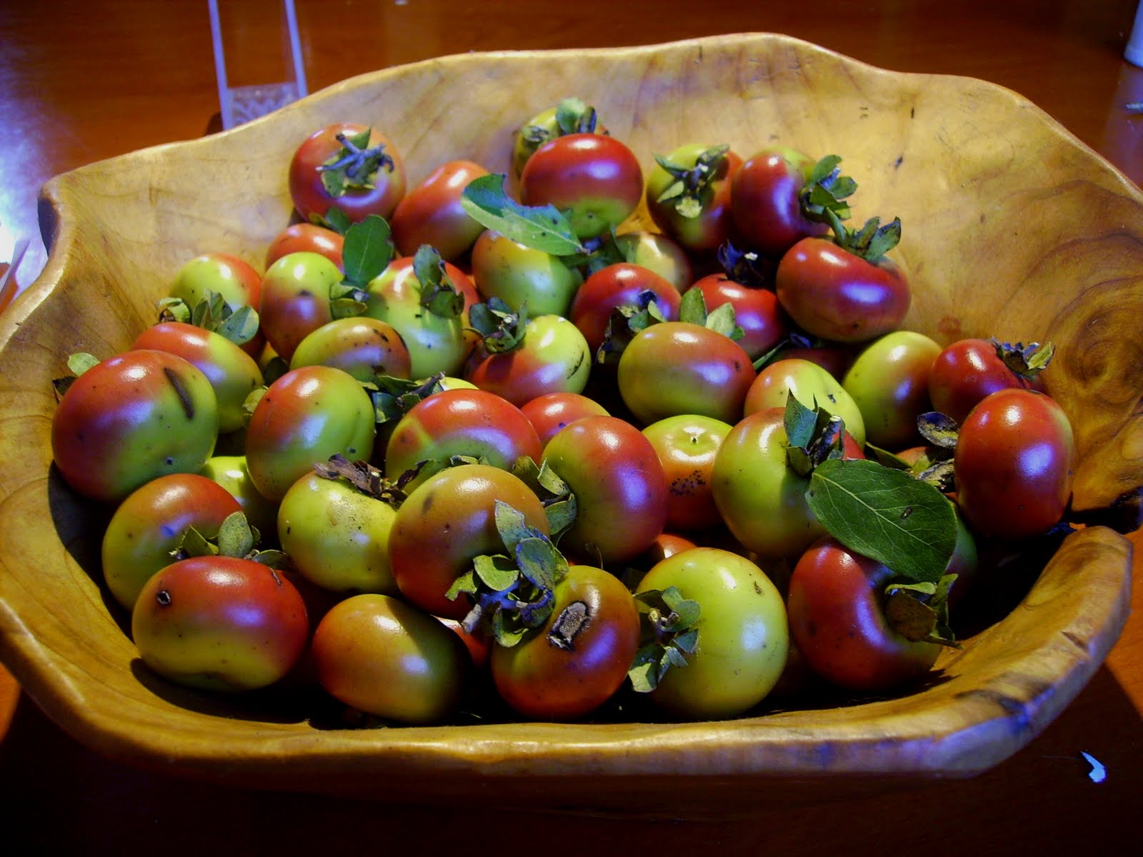 El Fogón de Leña: Cocina prehispánica: Chapote (Diospyros sp.).