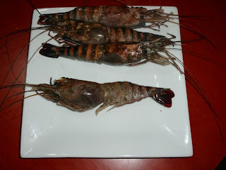 El Fogón de Leña: Acamaya.