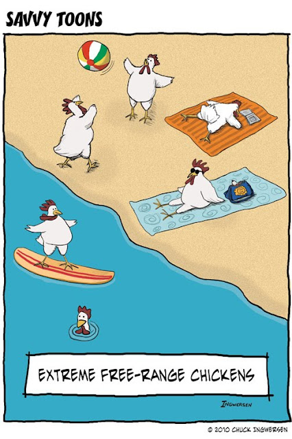 Soon-to-be-fried chickens | Savvy Toons