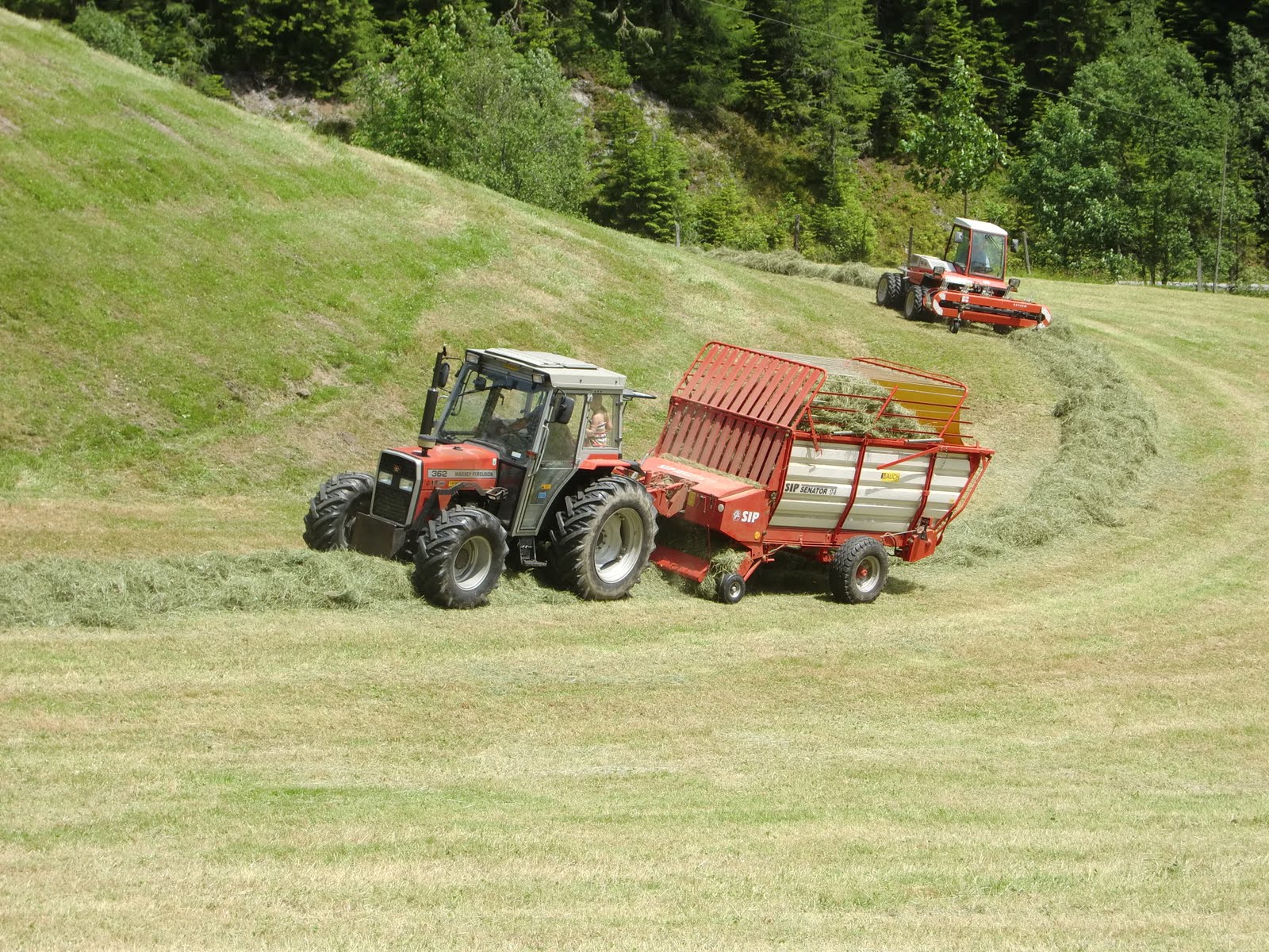 Urlaub am Halmgut – Fotogalerie: Heuen
