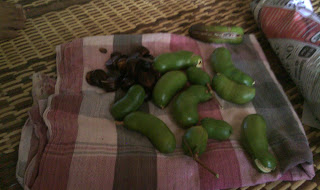 Pengalaman Dan Keindahan ku abadikan dalam Ceriakan Hidupku : Ulam BUah ...