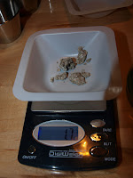 The Home Scientist: Experiment: Silver Tree