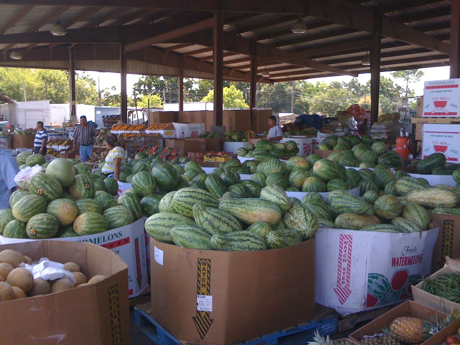 ES BUENO HOUSTON: Trip to Canino's Produce/Airline Farmers Market
