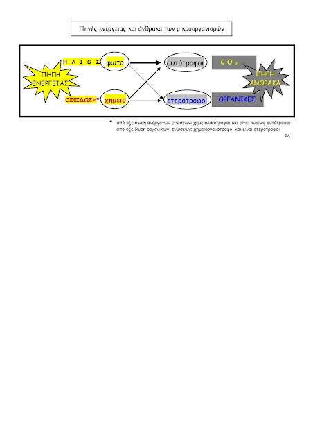 ΑΣΚΗΣΕΙΣ ΒΙΟΛΟΓΙΑΣ - ΘΕΜΑΤΑ SOS